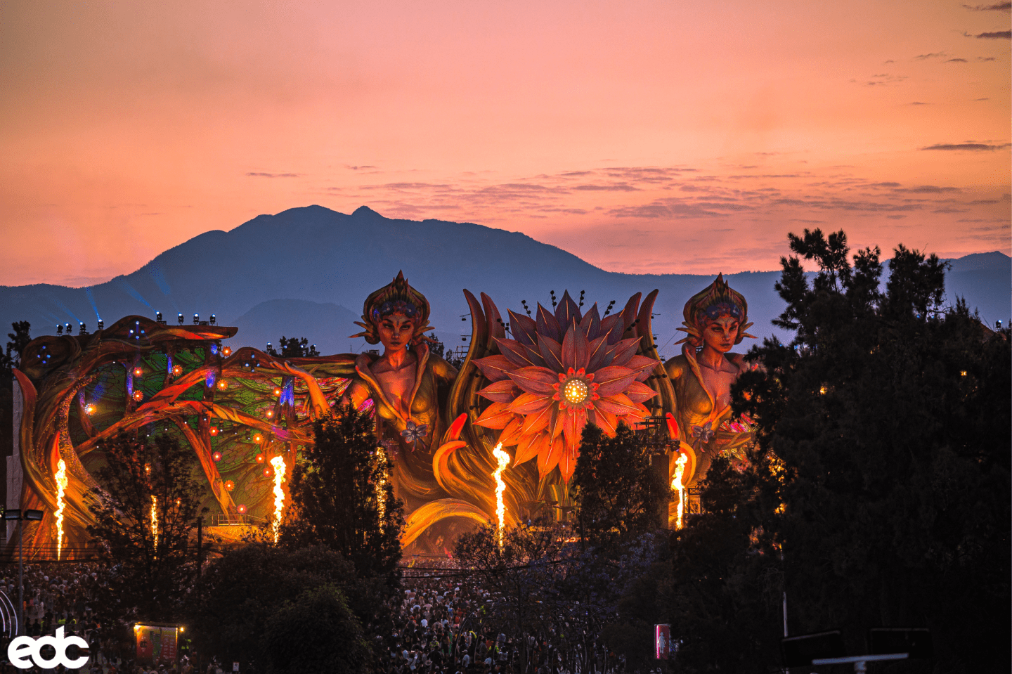 EDC Mexico 2026 Set Times + Must-See Artists Each Day of the Festival ...